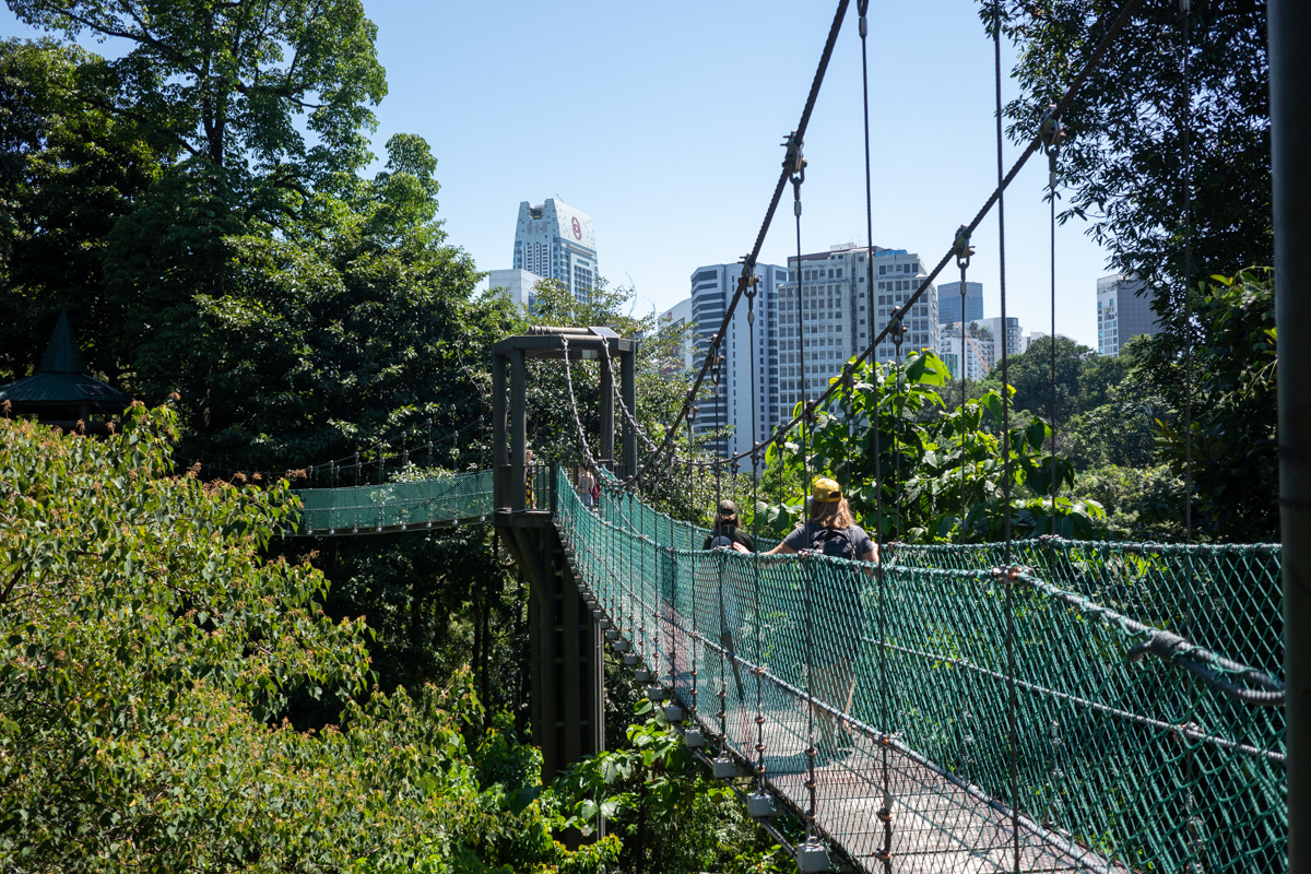 La canopée du parc Bukit Nanas – Un Tour du Monde
